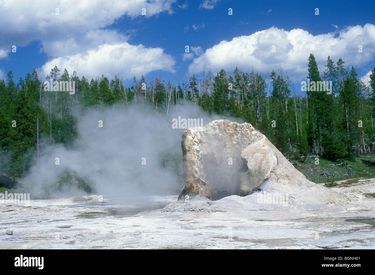 Giant geyser hi-res stock photography and images - Alamy