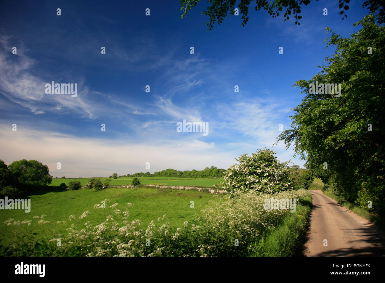 Broadwell cotswolds hi-res stock photography and images - Alamy