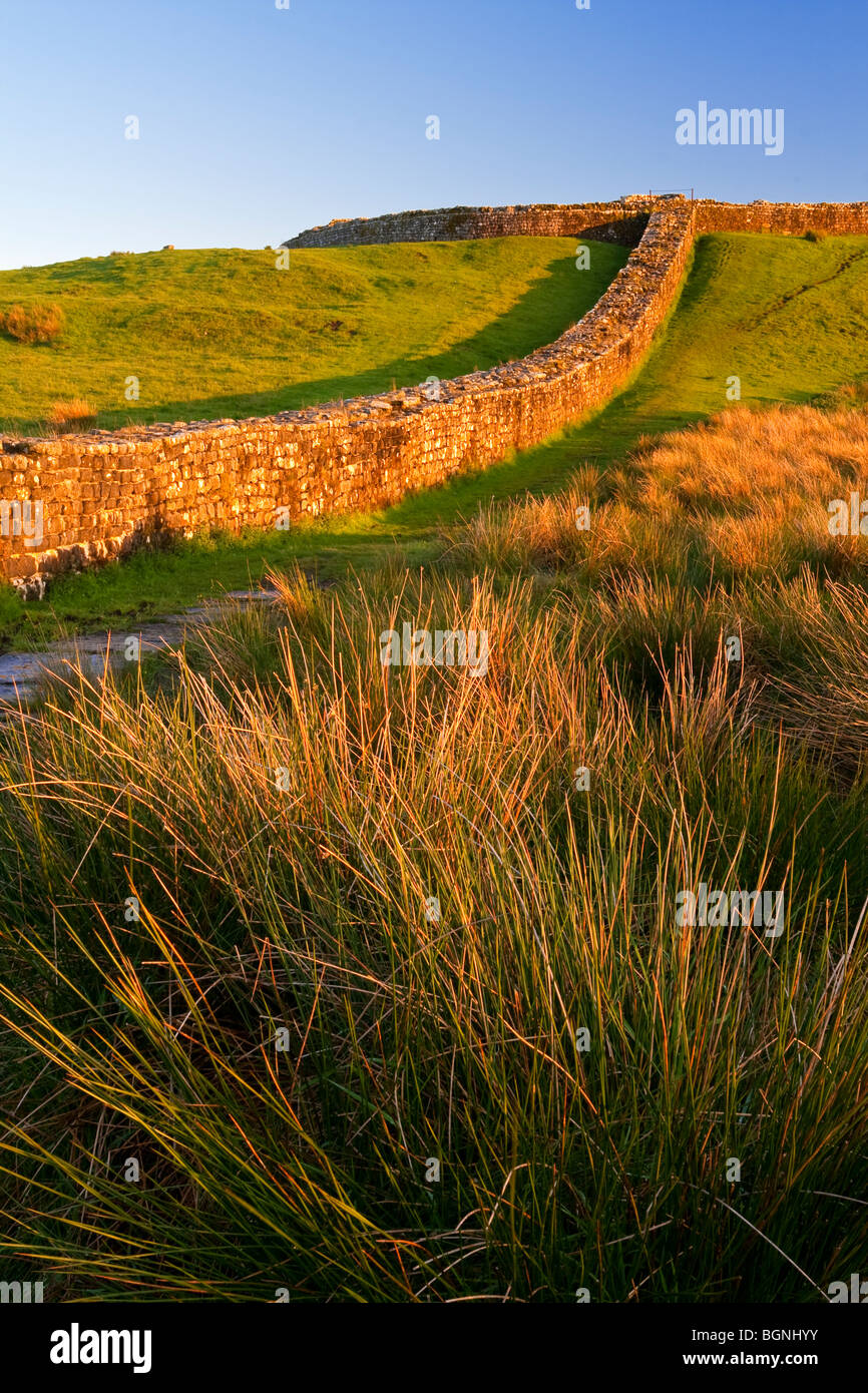 Hadrians wall housestead fort hi-res stock photography and images - Alamy