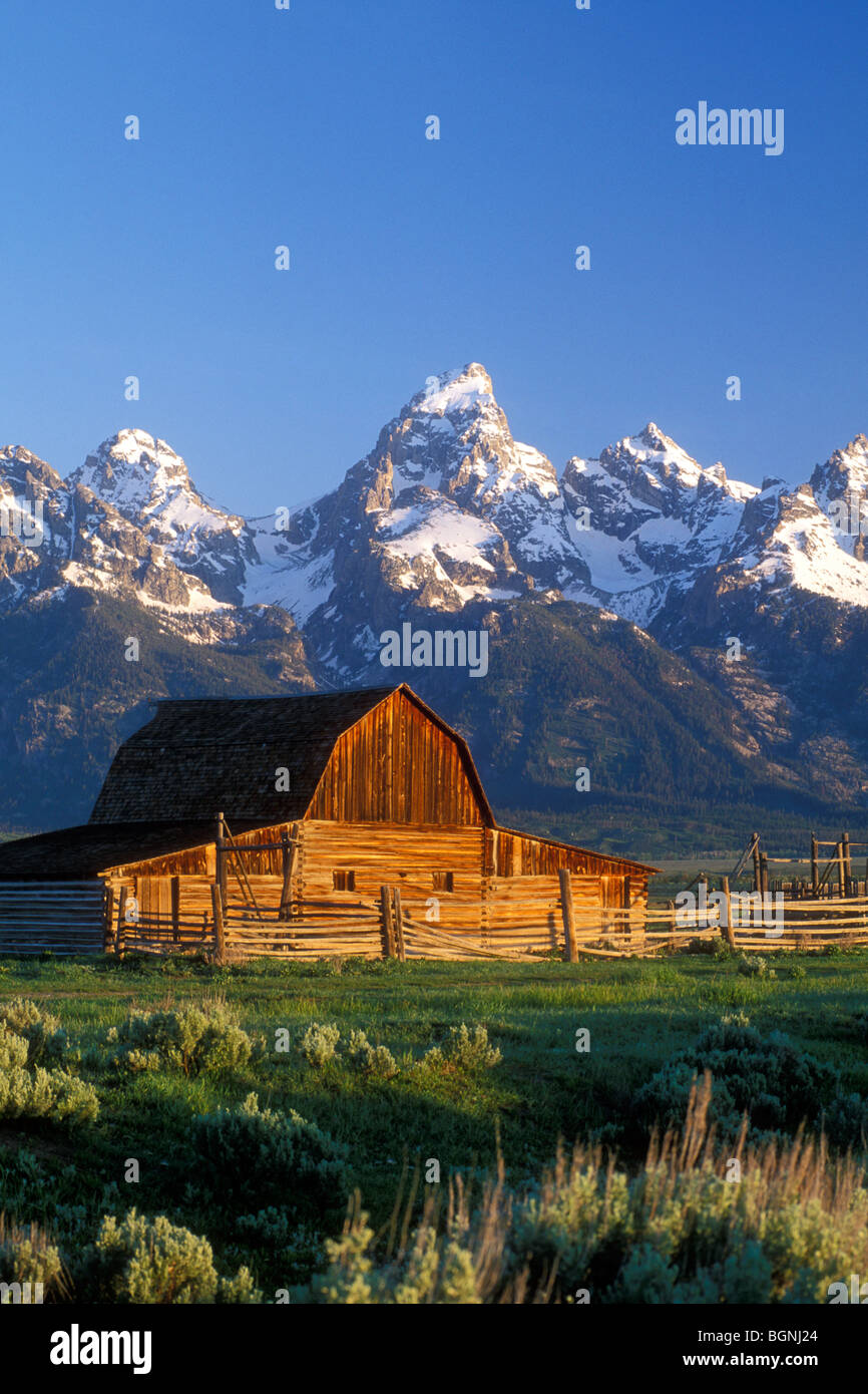 Mormon Barn Jackson Hole