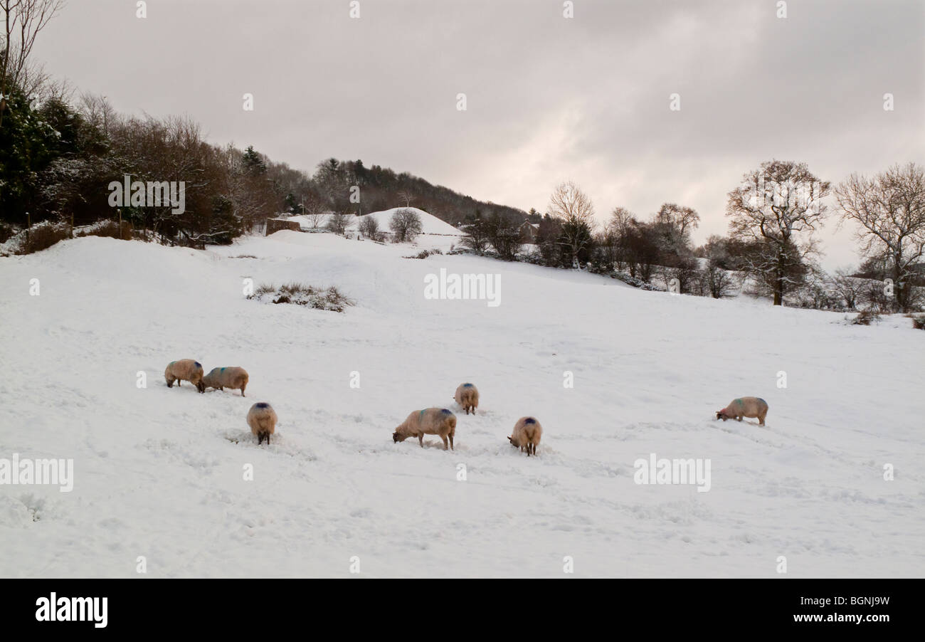 Matlock bath snow hi-res stock photography and images - Alamy