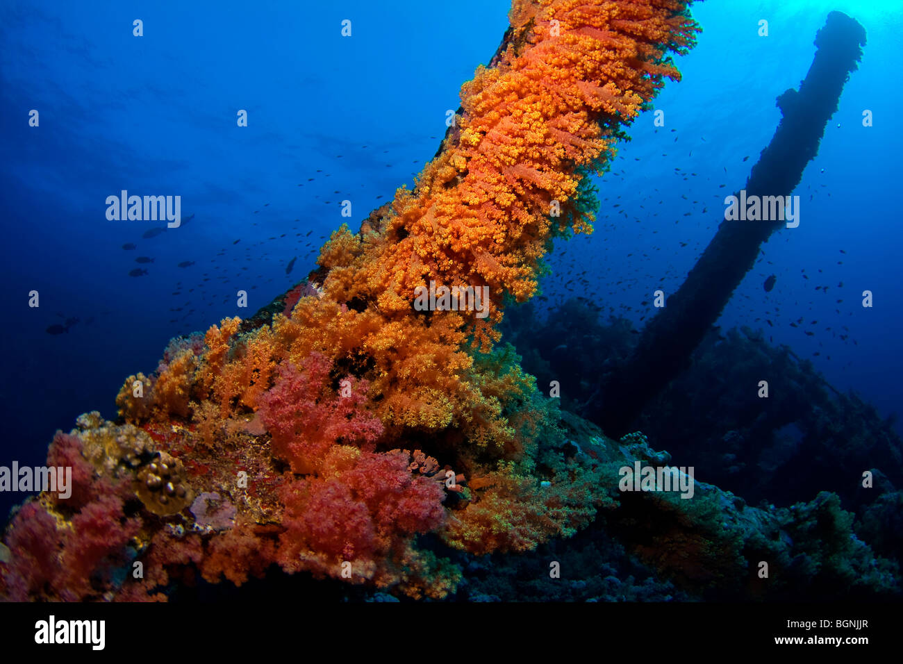 Underwater chimney hi-res stock photography and images - Alamy