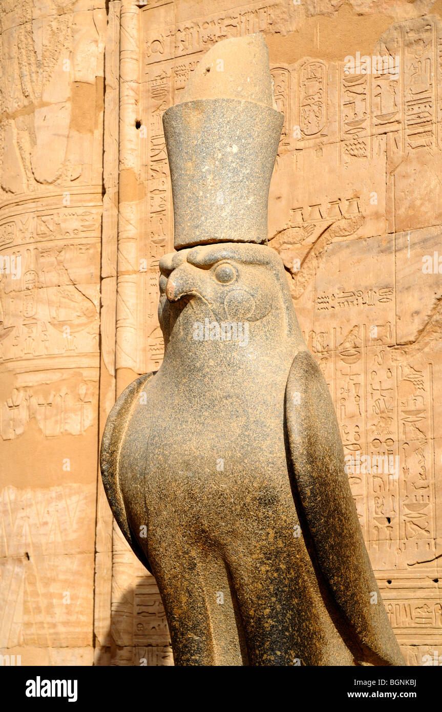Statue of God Horus at the Temple at Edfu in Egypt which is dedicated ...