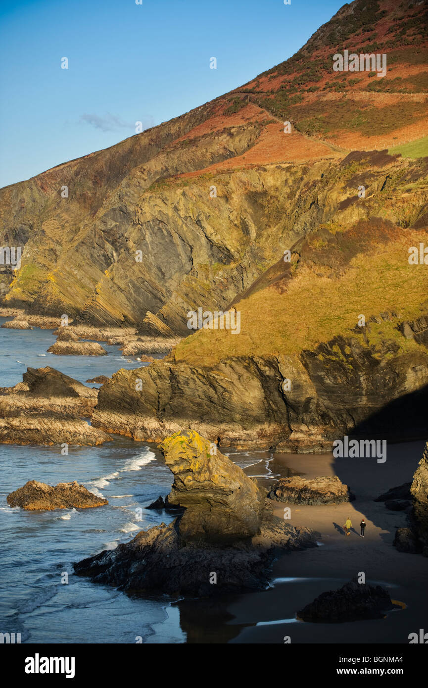 Coastal cliffs and beach , January afternoon, Llangrannog, Ceredigion ...