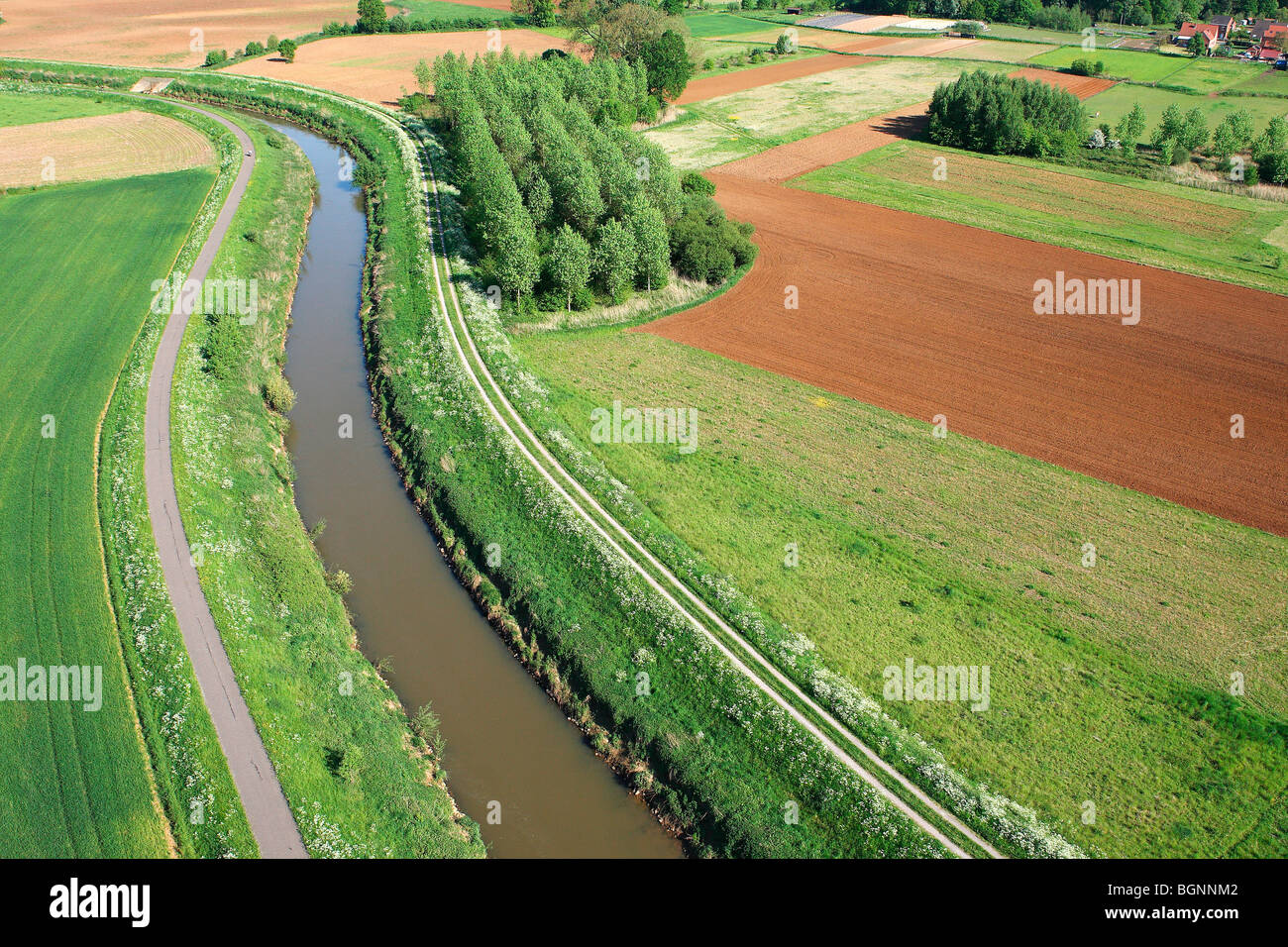 Fields, grasslands and forested area along river Demer, valley of Demer ...