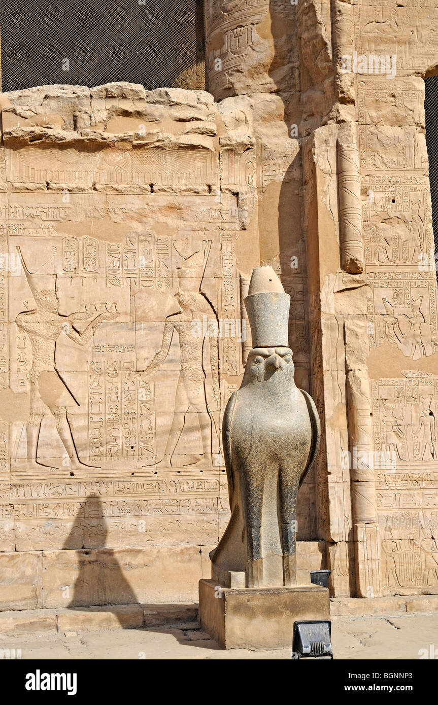 Statue of God Horus at the Temple at Edfu in Egypt which is dedicated ...