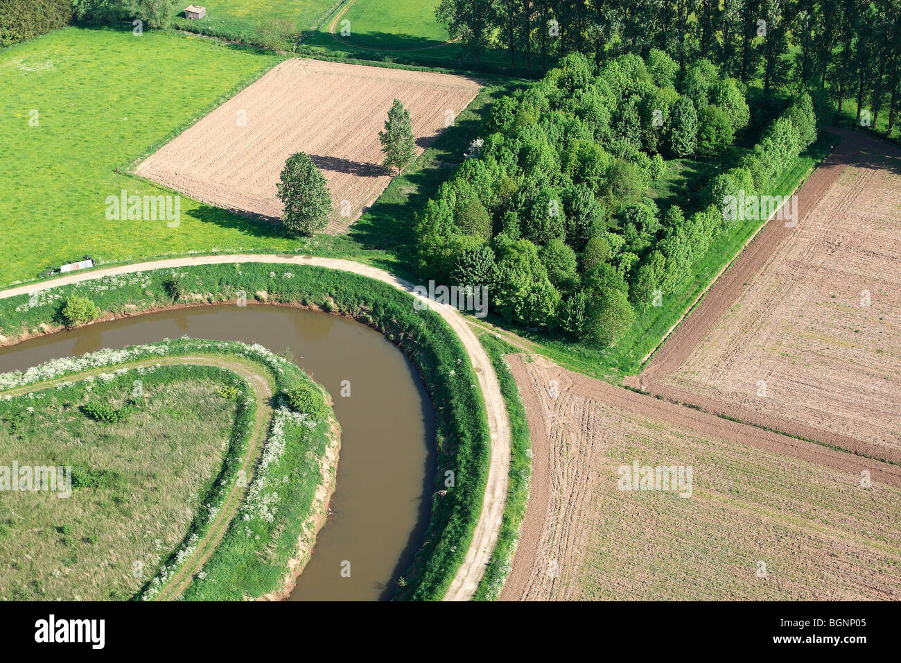 Fields, grasslands and forested area along river Demer, valley of Demer ...
