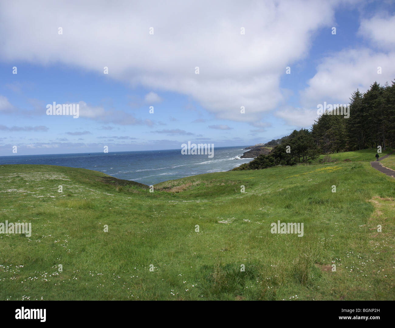Panorama - Rolling green meadows and Pacific Ocean, near Otter Rocks ...