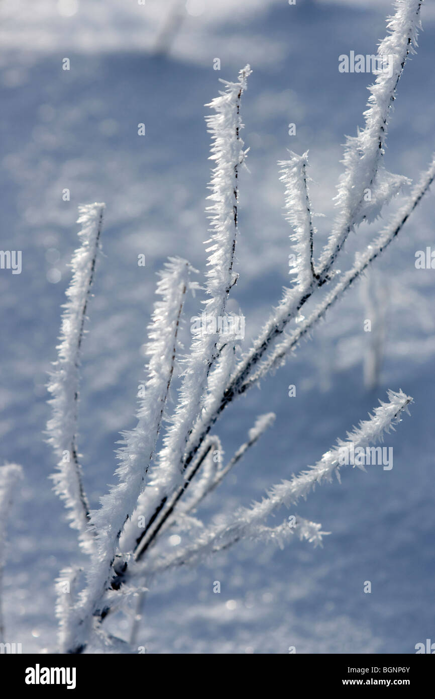 Cold icy snowy frozen day Stock Photo - Alamy