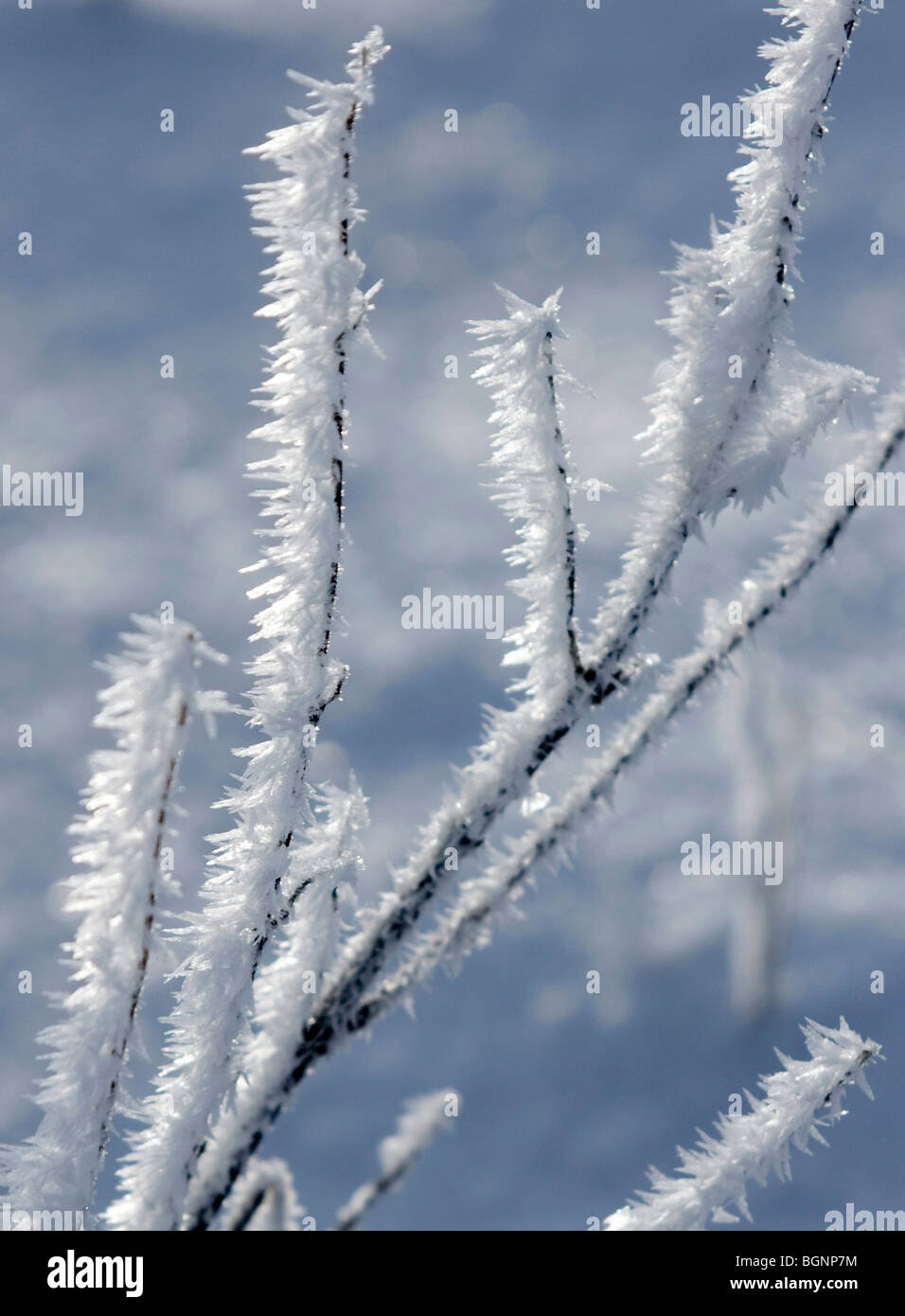 Cold icy snowy frozen day Stock Photo - Alamy