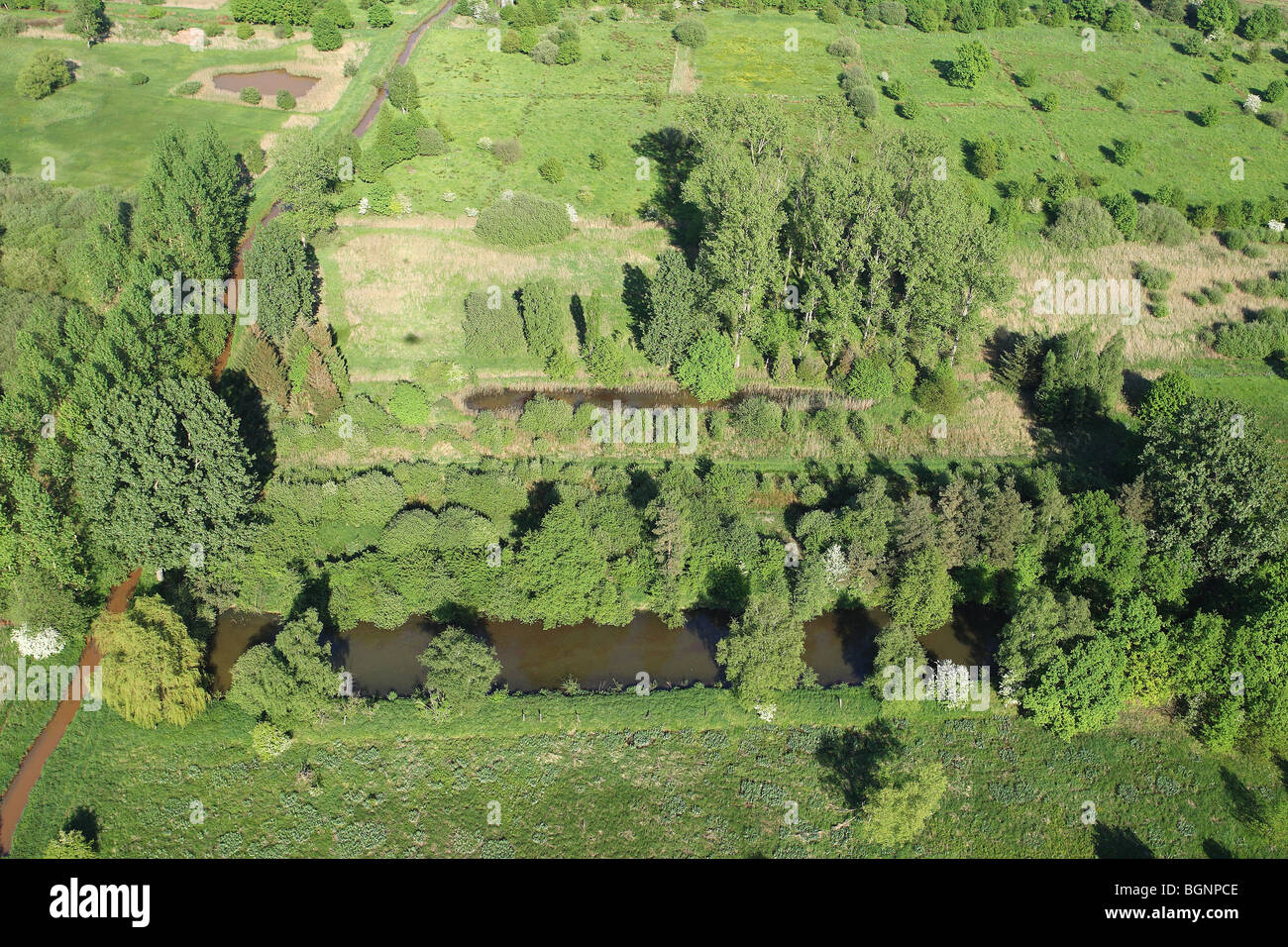 Forested area, wetlands and reedland from the air, Demerbroeken nature ...