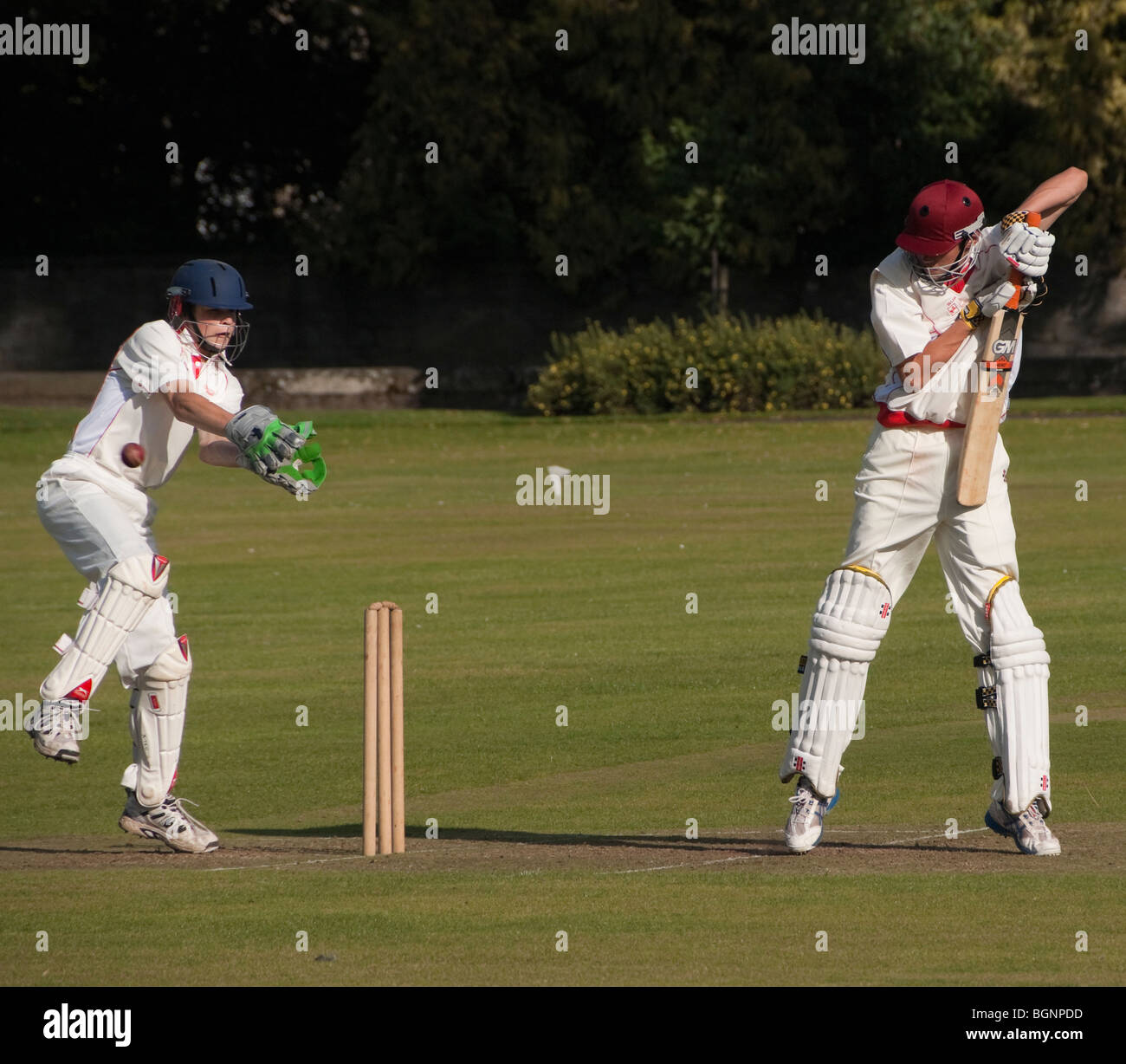 Cricket match hi-res stock photography and images - Alamy