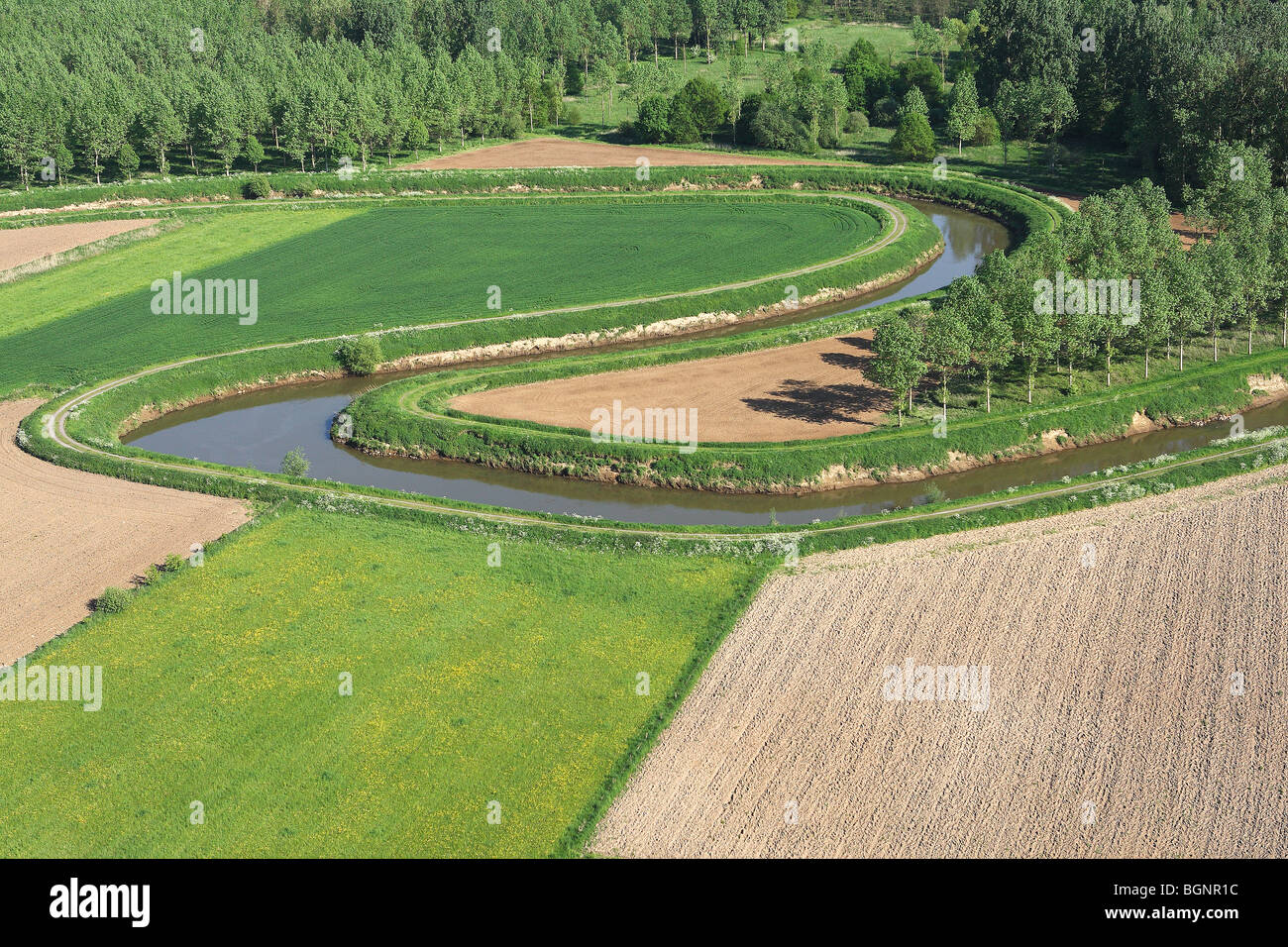 Fields, grasslands and forested area along river Demer, valley of Demer ...