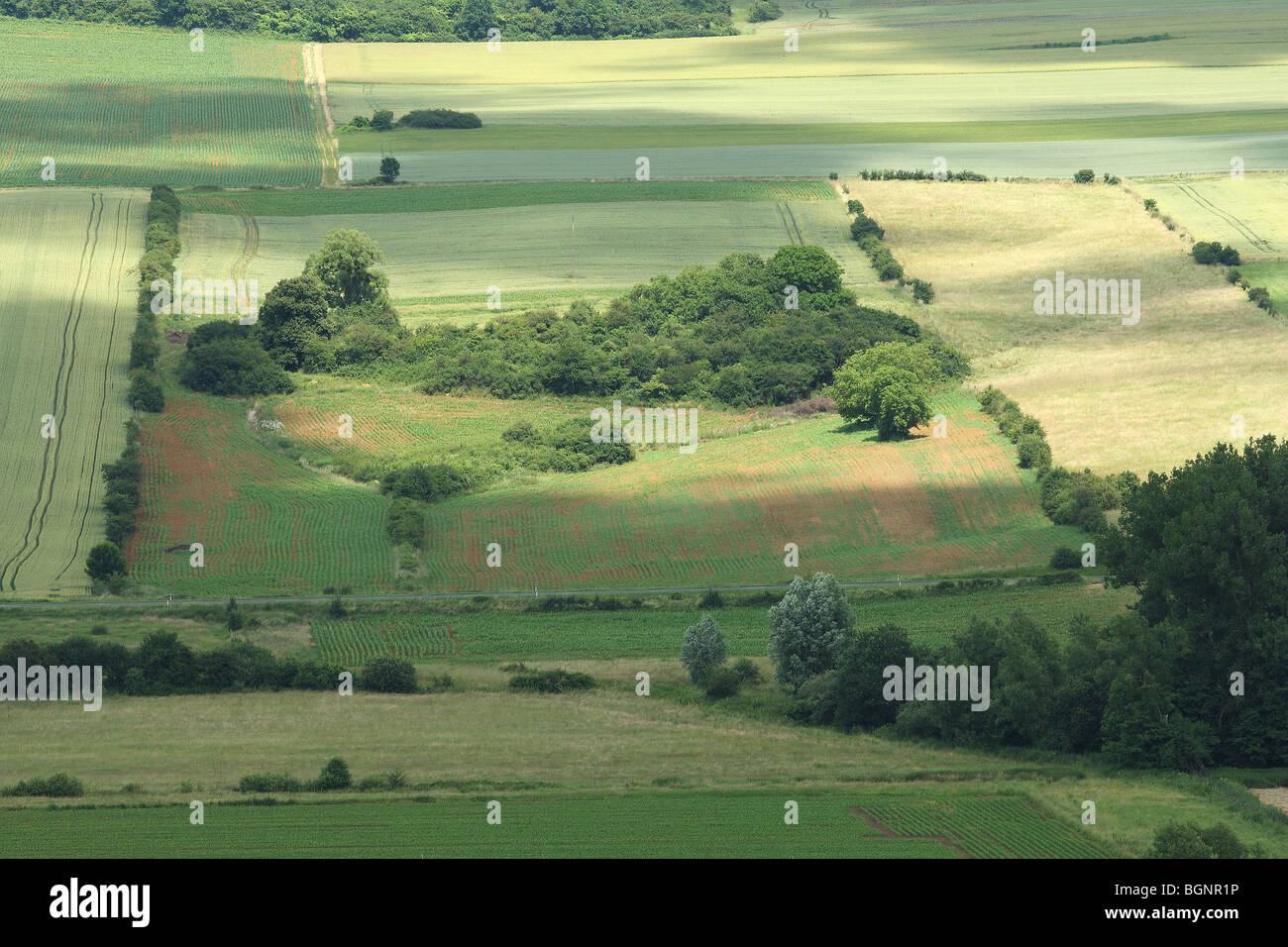 Bocage landscape with hedges and trees, Voeren, Belgium Stock Photo - Alamy