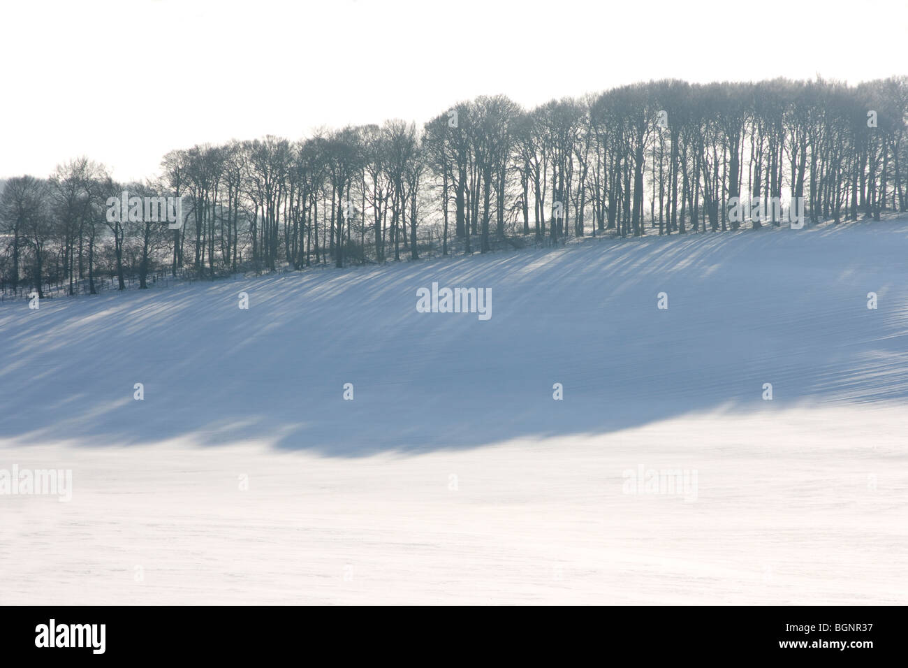 Cold frosty icy sunny day Stock Photo - Alamy