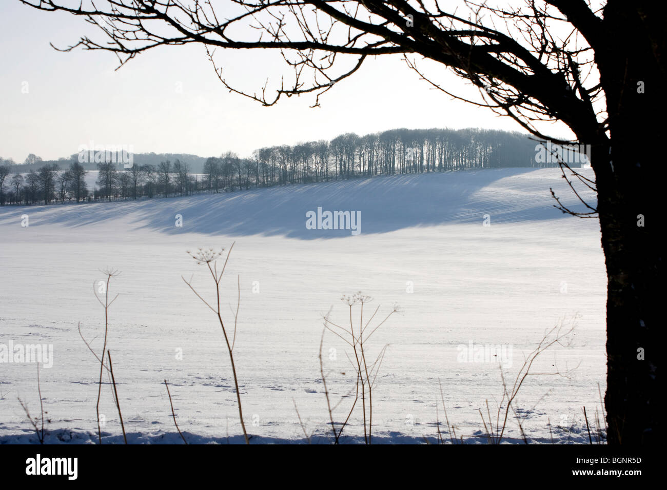 Cold frosty icy sunny day Stock Photo - Alamy