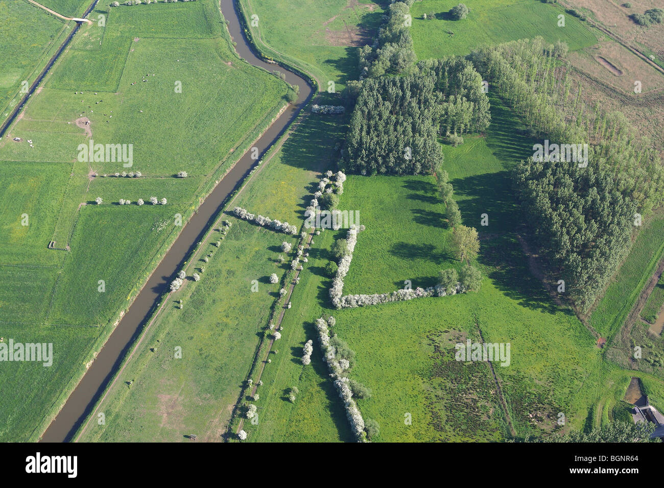 Fields, grasslands and forested area along river Demer, valley of Demer ...