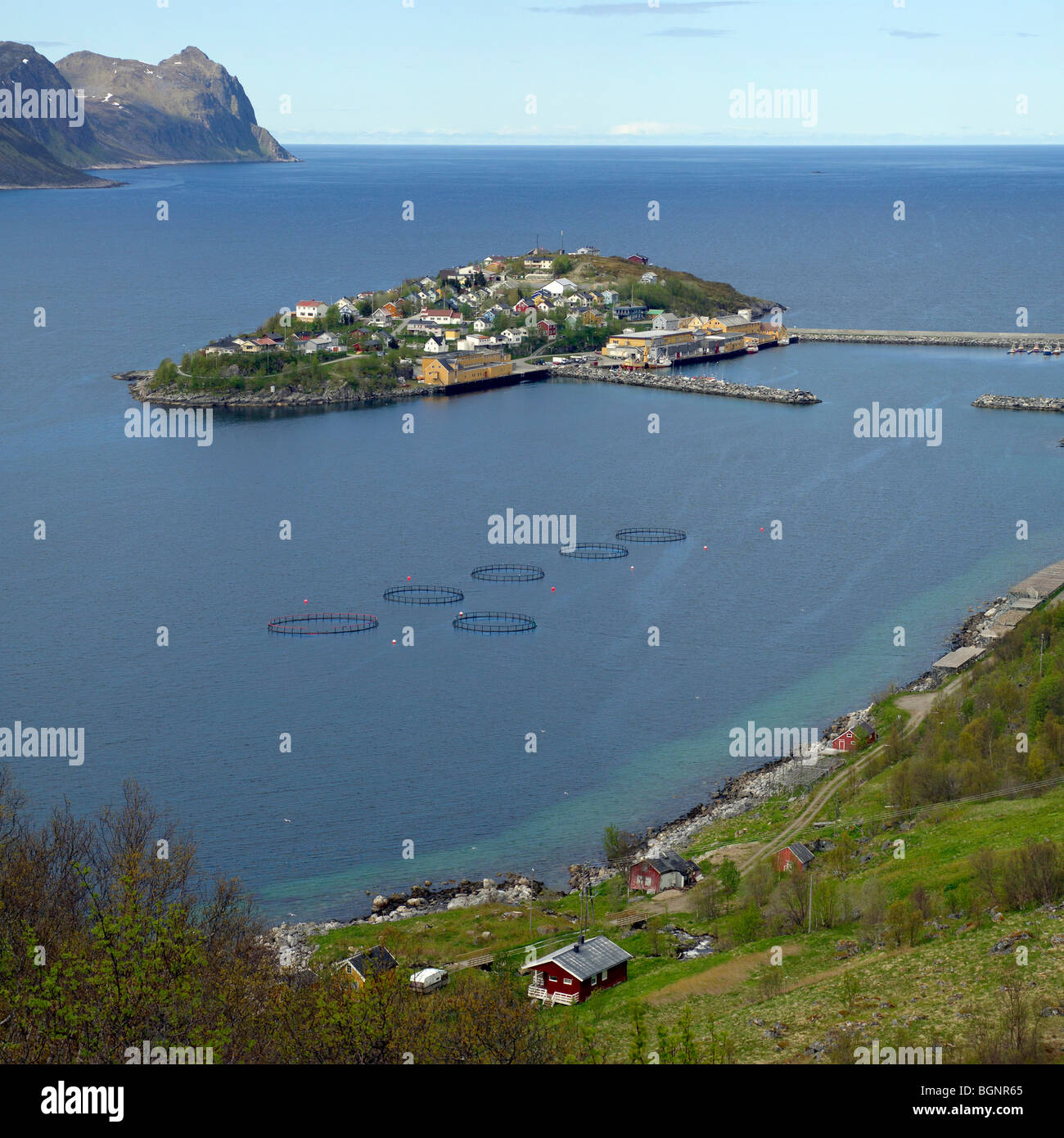 Fishing settlement on a small island. Husøy on Senja, Troms, North ...