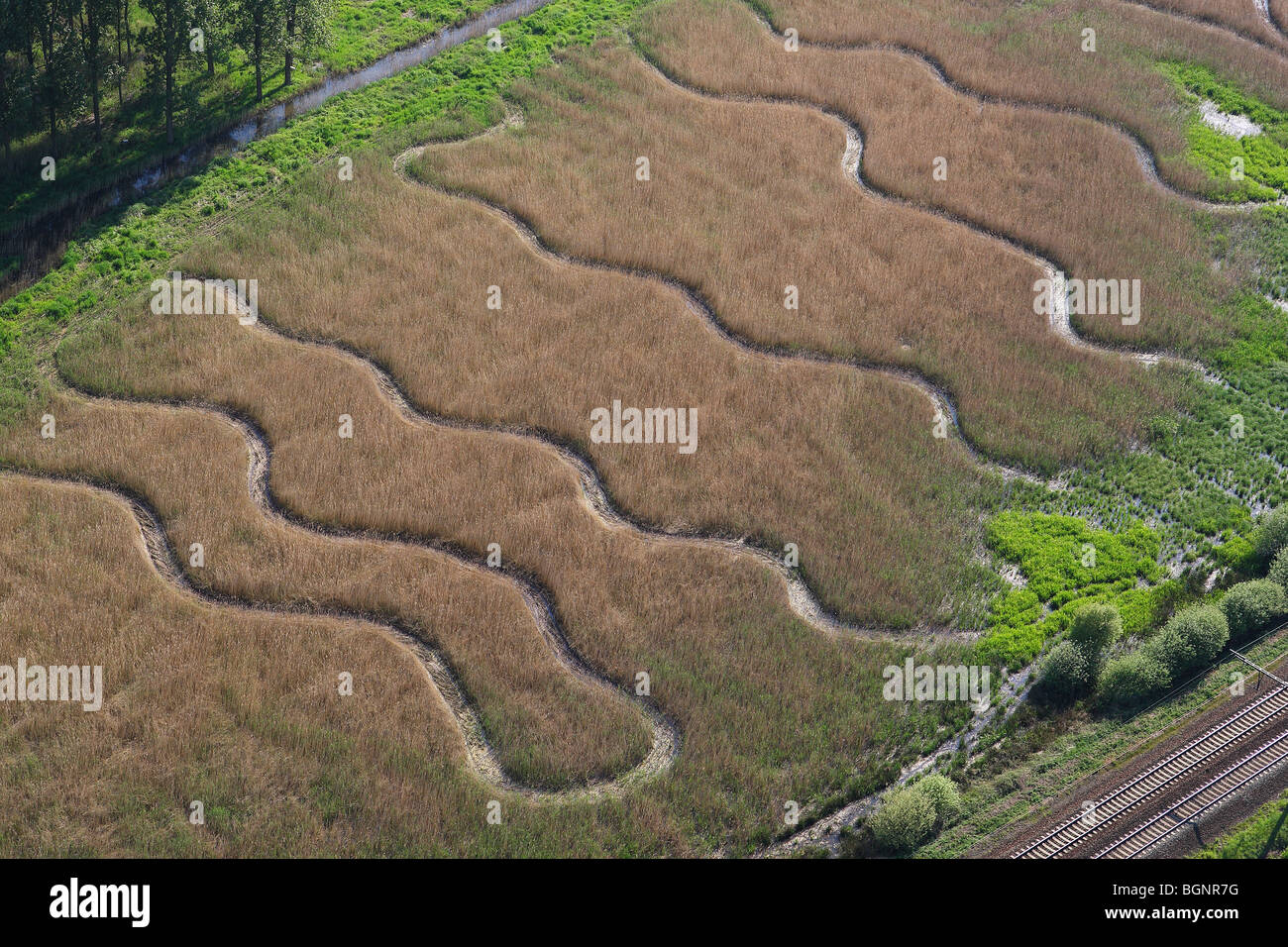 Wetlands and reedland from the air, Demerbroeken nature reserve ...