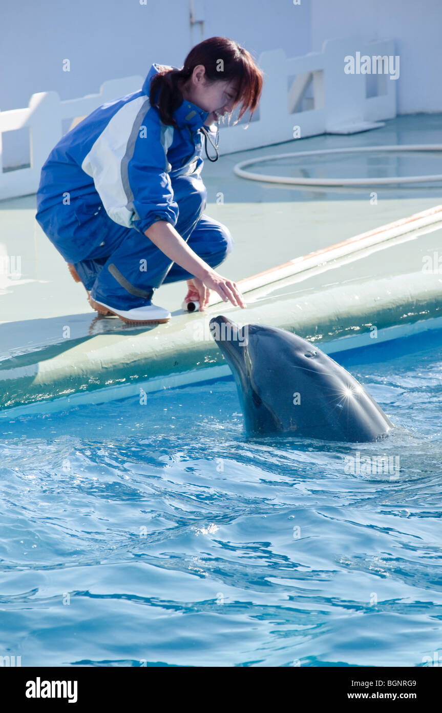 Dolphin and Trainer Stock Photo - Alamy