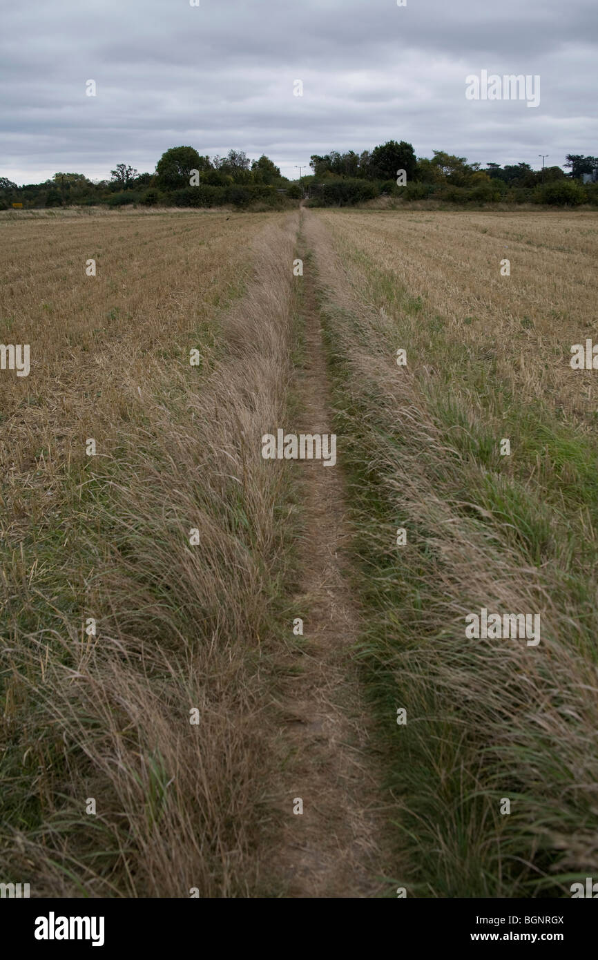 Footpath through farmers field hi-res stock photography and images - Alamy