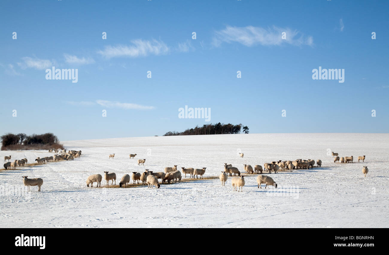 English farm scene hi-res stock photography and images - Alamy