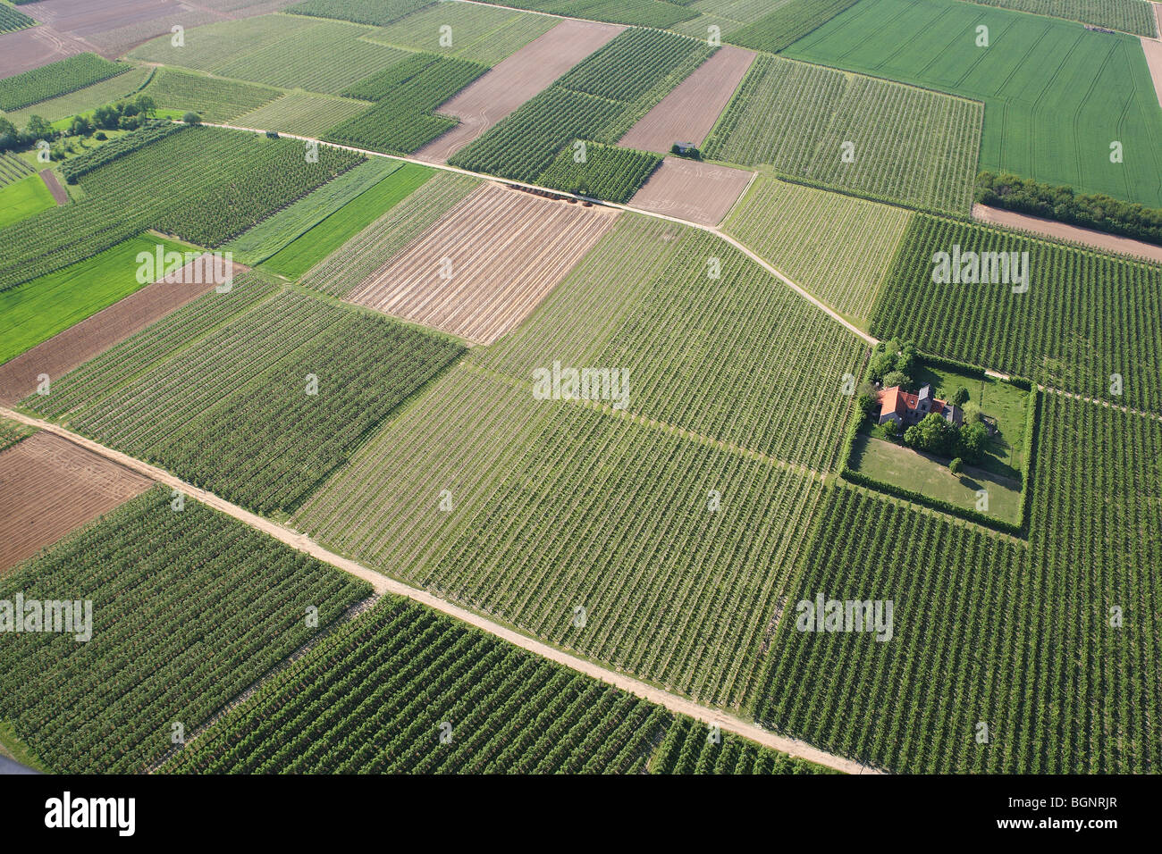 Farm in agricultural area with fields, grasslands and hedges from the ...