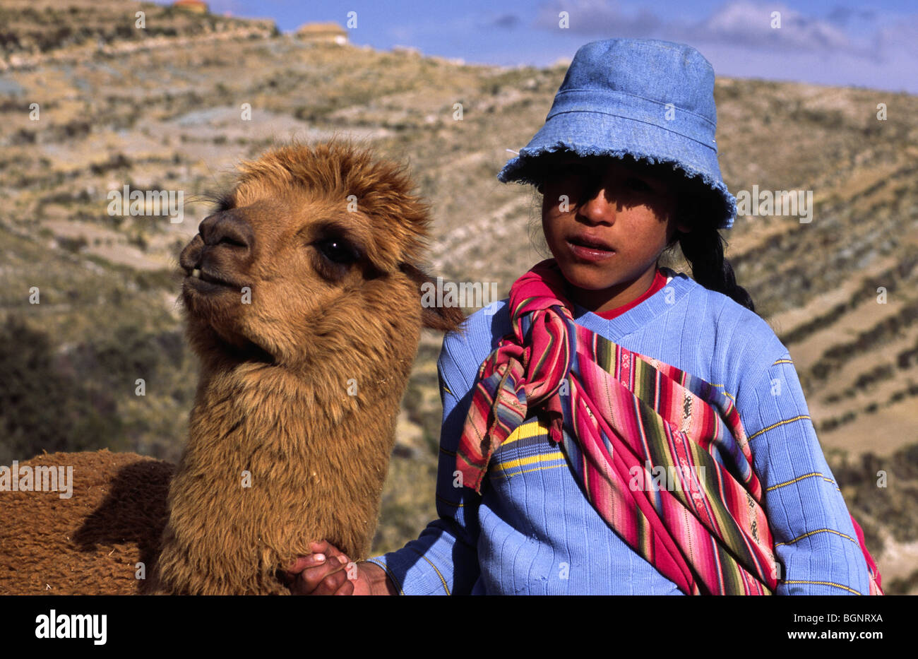 Aymara girl with Alpaca. Isla del Sol, lake Titicaca, Bolivia Stock ...