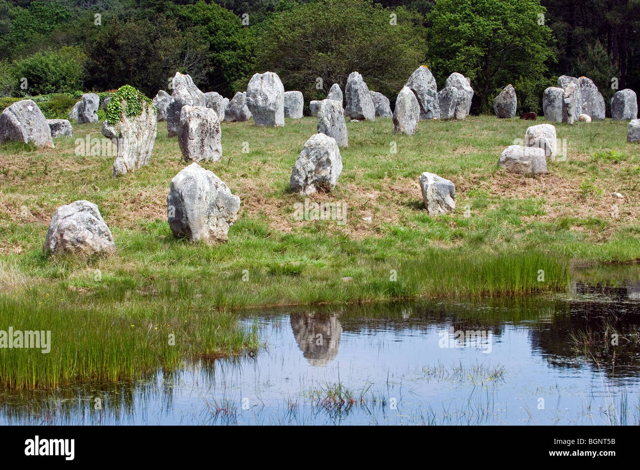 Standing stones in the Ménec alignment at Carnac, Morbihan, Brittany ...