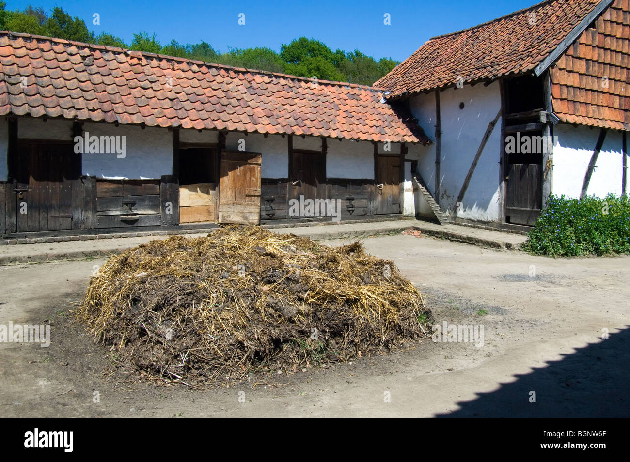 Dunghill / dungheap with manure at the inner courtyard of traditional ...