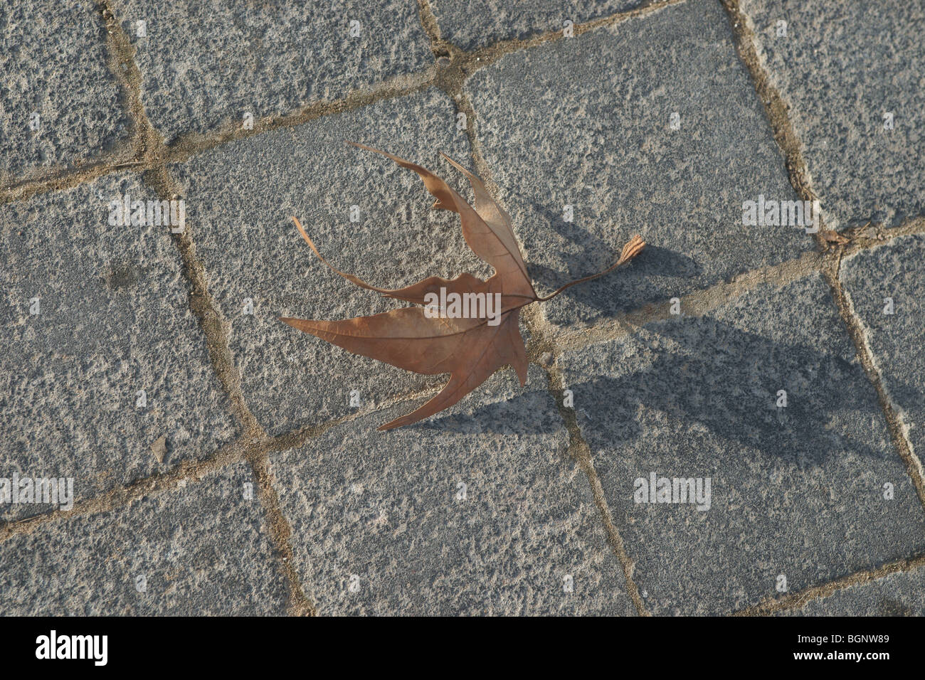 Ajamy ,Al-Ajami,jaffa Port,Israel Stock Photo - Alamy