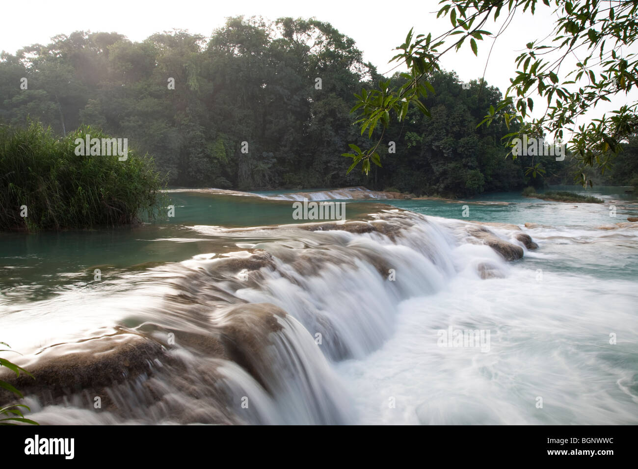Agua Azul jungle waterfalls and rapids in Chiapas Mexico Stock Photo ...