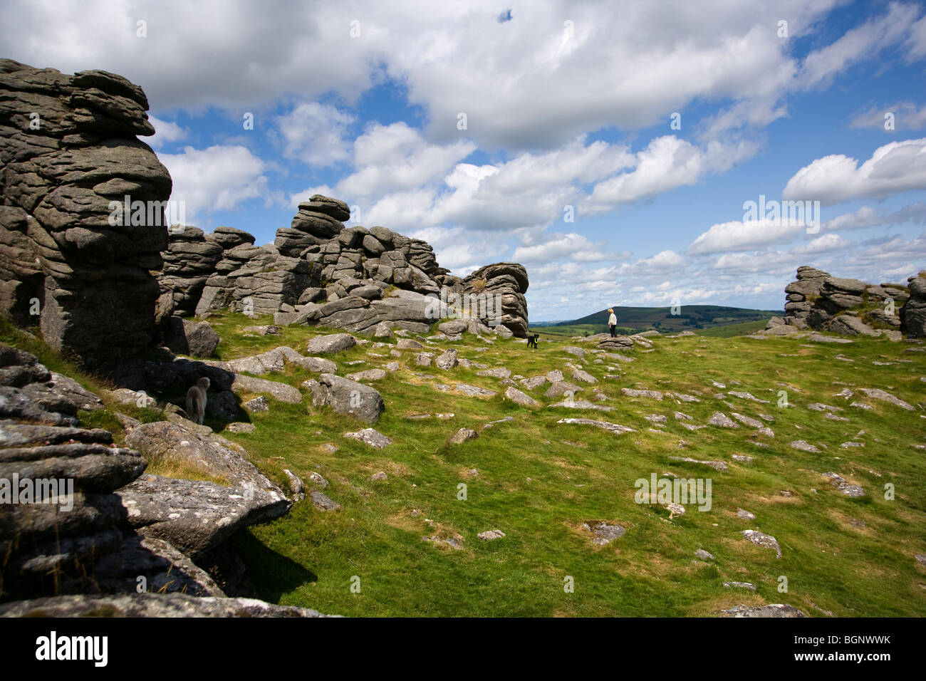 Hound Tor, a heavily weathered granite outcrop on Dartmoor National ...