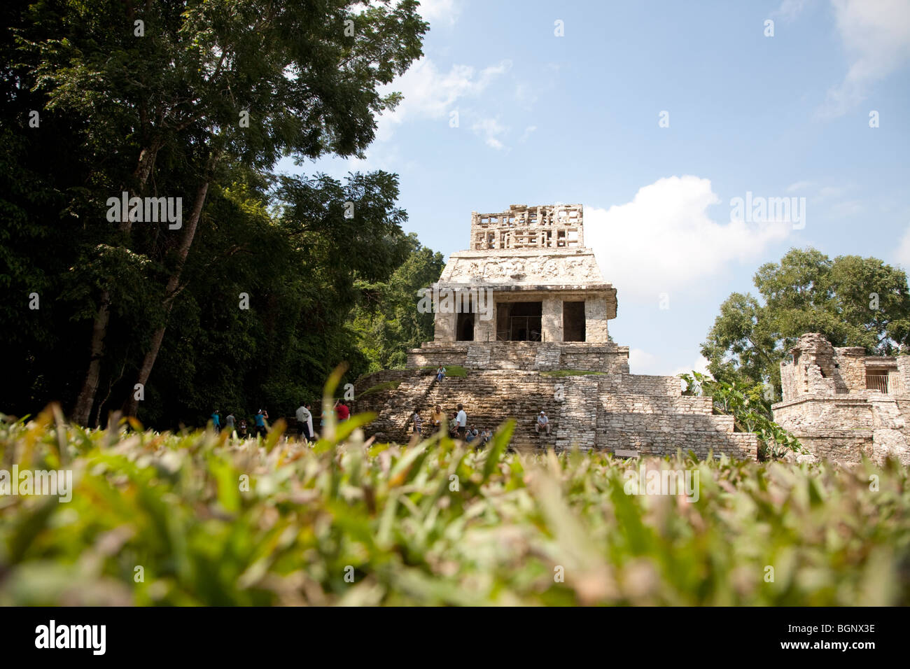 Chiapas mexico palenque temple hi-res stock photography and images - Alamy