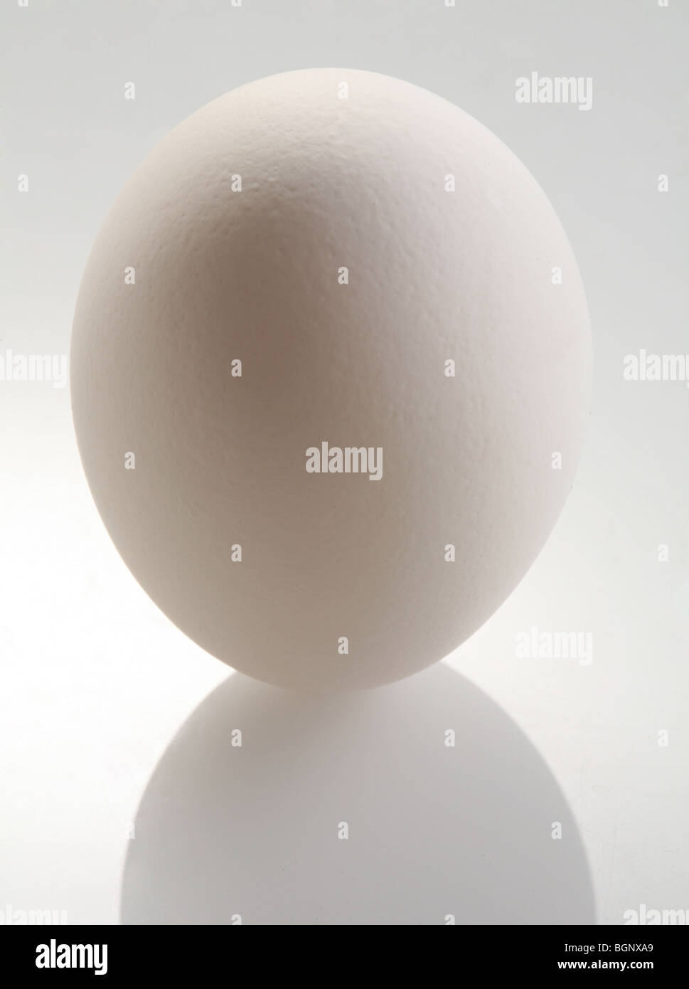 White egg hi-res stock photography and images - Alamy