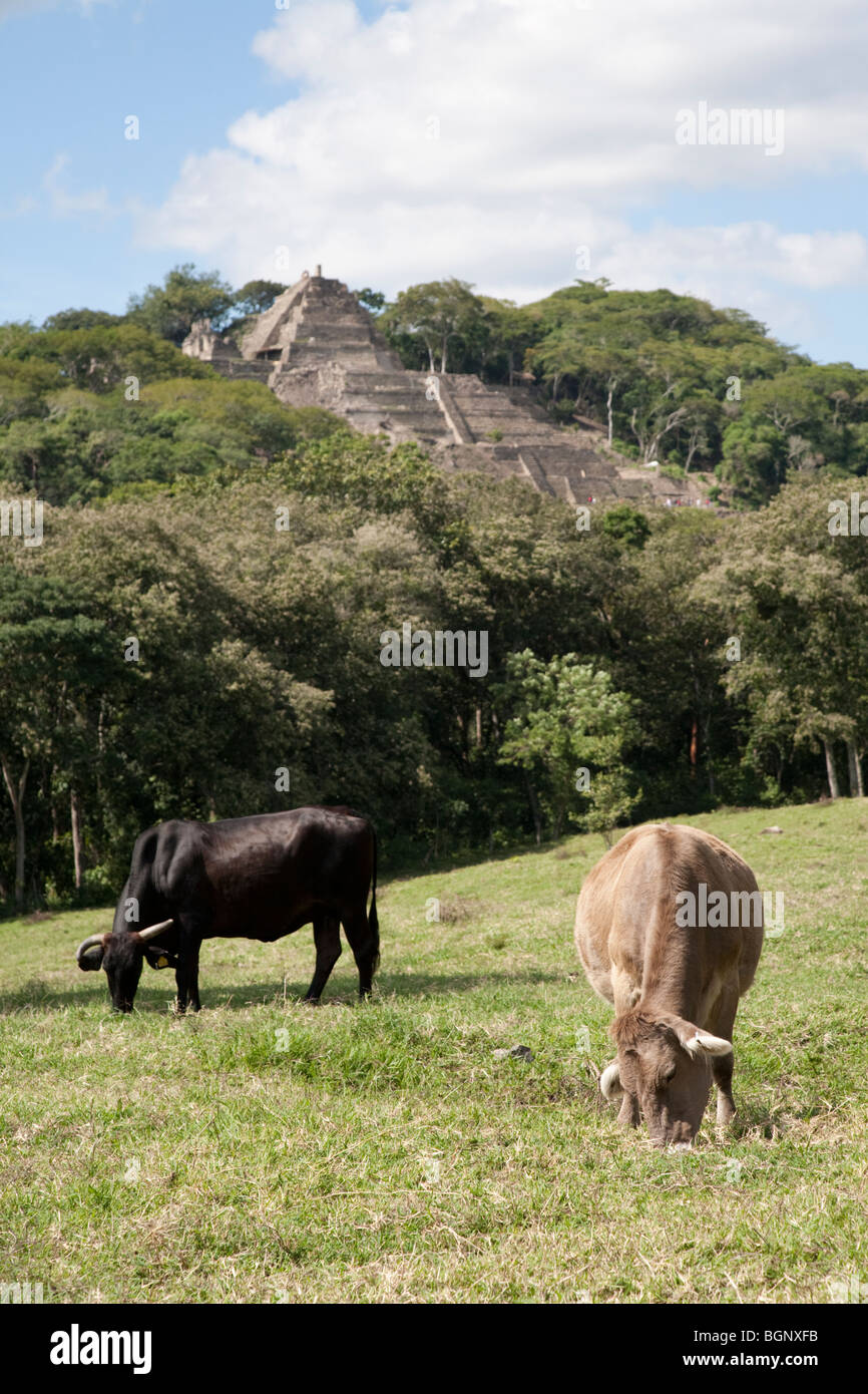 Toniná Maya Ruins archaeology site, Chiapas Mexico Stock Photo - Alamy