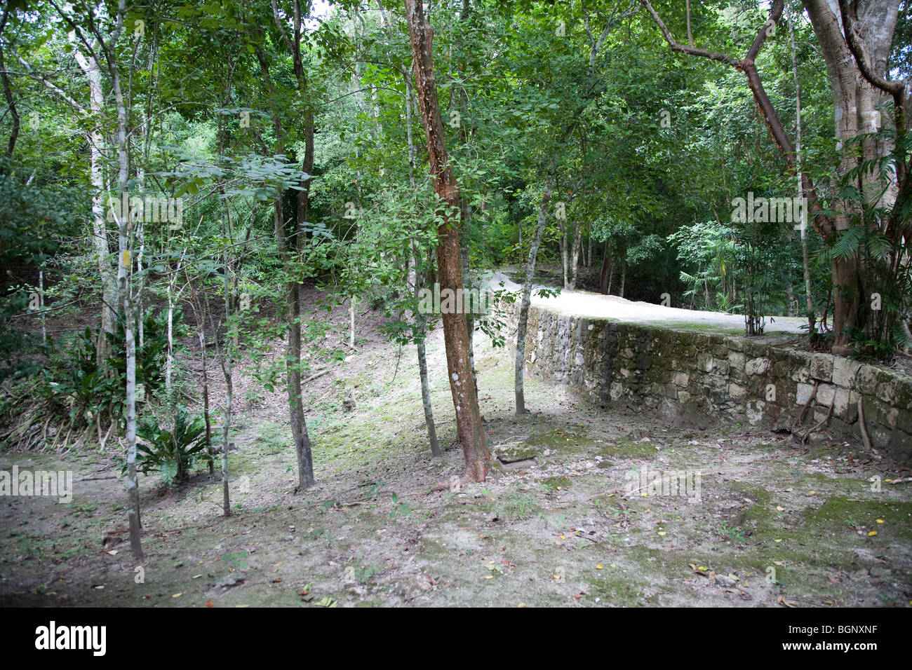 Former Moat. Becán Maya Ruins archaeology site, Campeche Mexico Stock ...