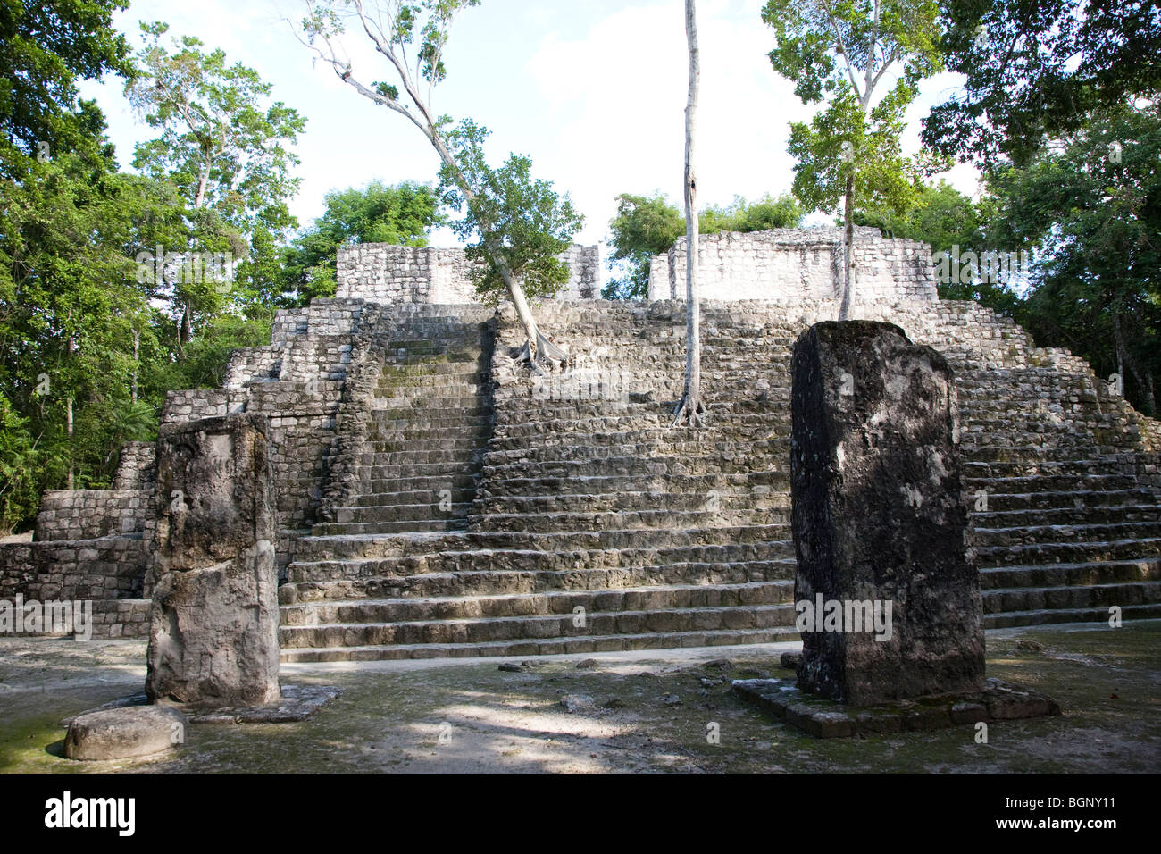 Gran Acropolis. Calakmul Maya Ruins archaeology site, Campeche Mexico ...