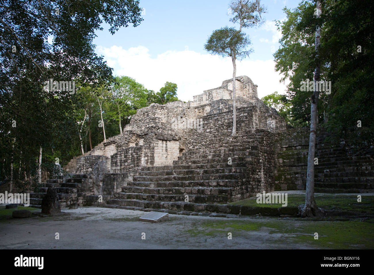 Structure IV. Gran Acropolis. Calakmul Maya Ruins archaeology site ...