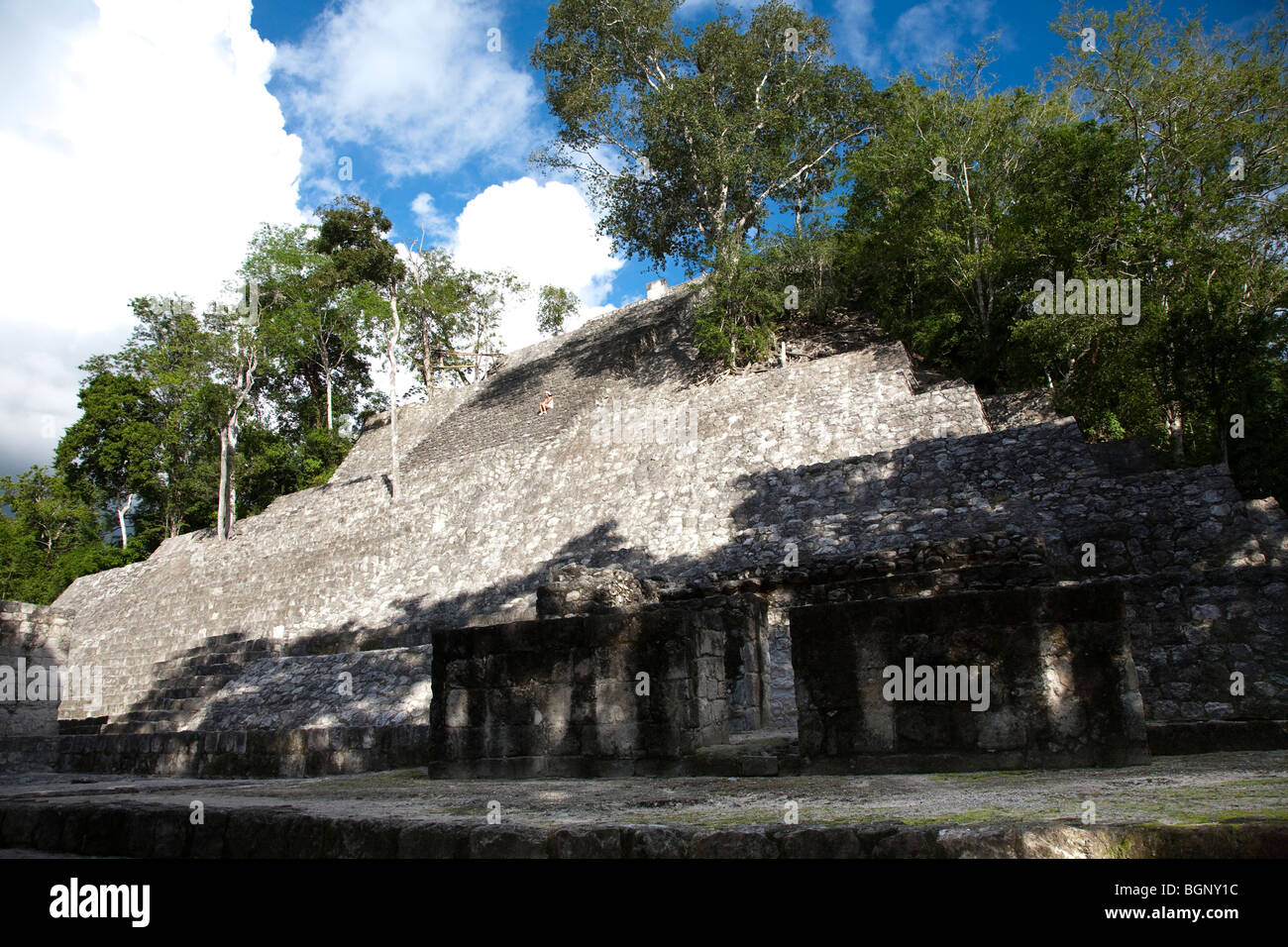 Gran Acropolis Plaza Central. Calakmul Maya Ruins archaeology site ...