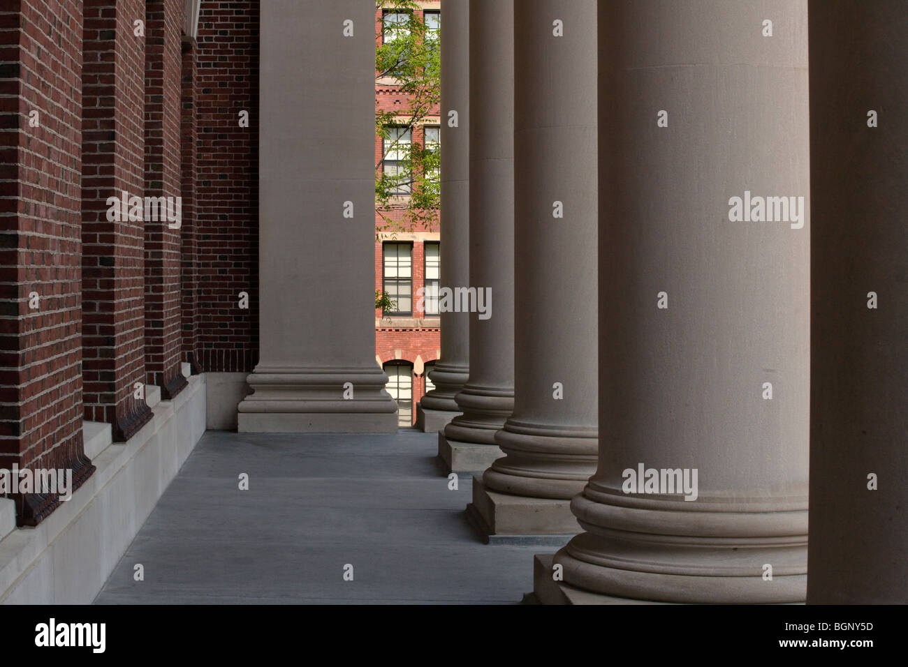 Harry elkins widener memorial library hi-res stock photography and ...