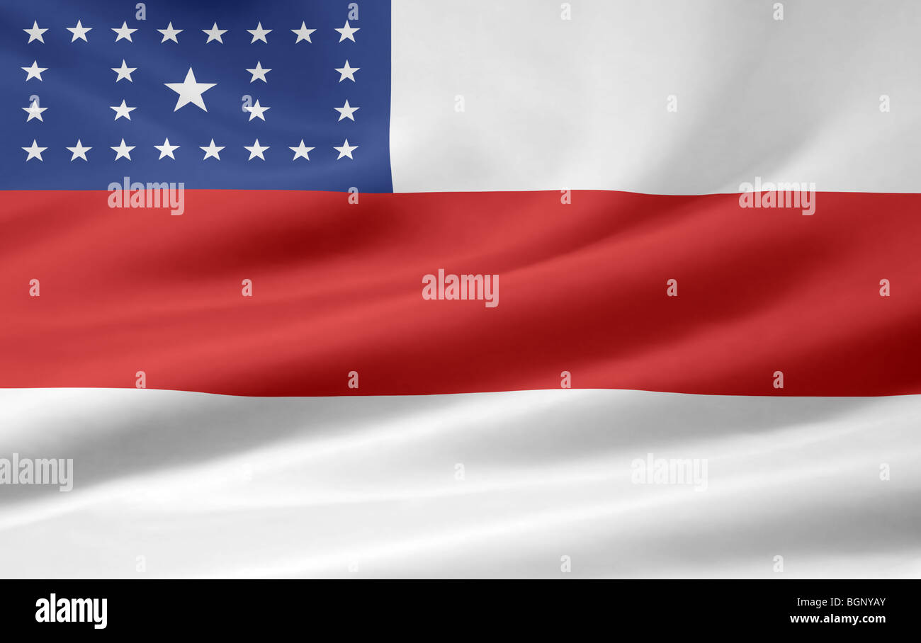 Very large flag of the brazilian state of Amazonas Stock Photo - Alamy