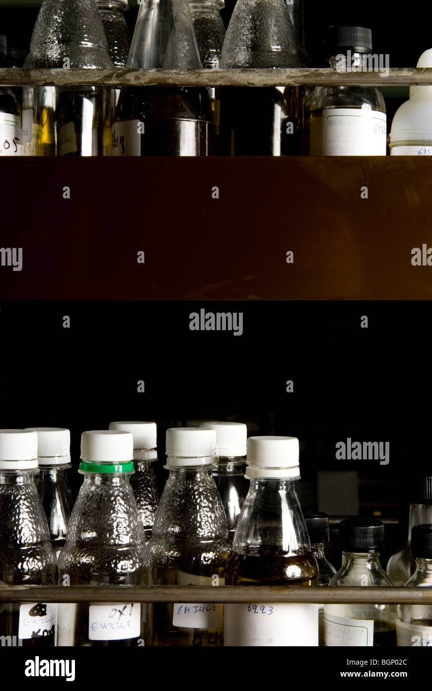 bottles of raw olive oil for testing at the plants' laboratory Stock ...