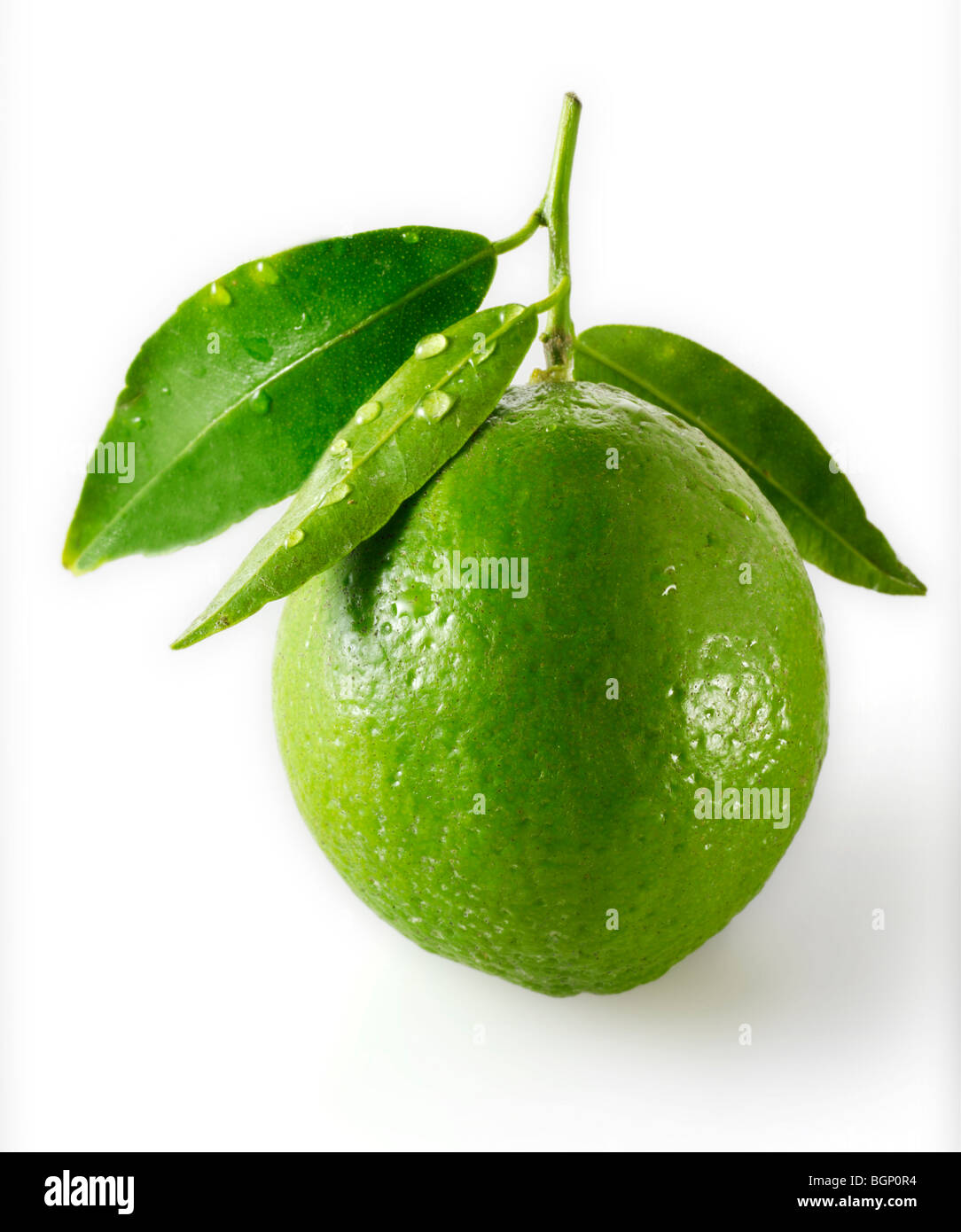 Unpeeled limes hi-res stock photography and images - Alamy
