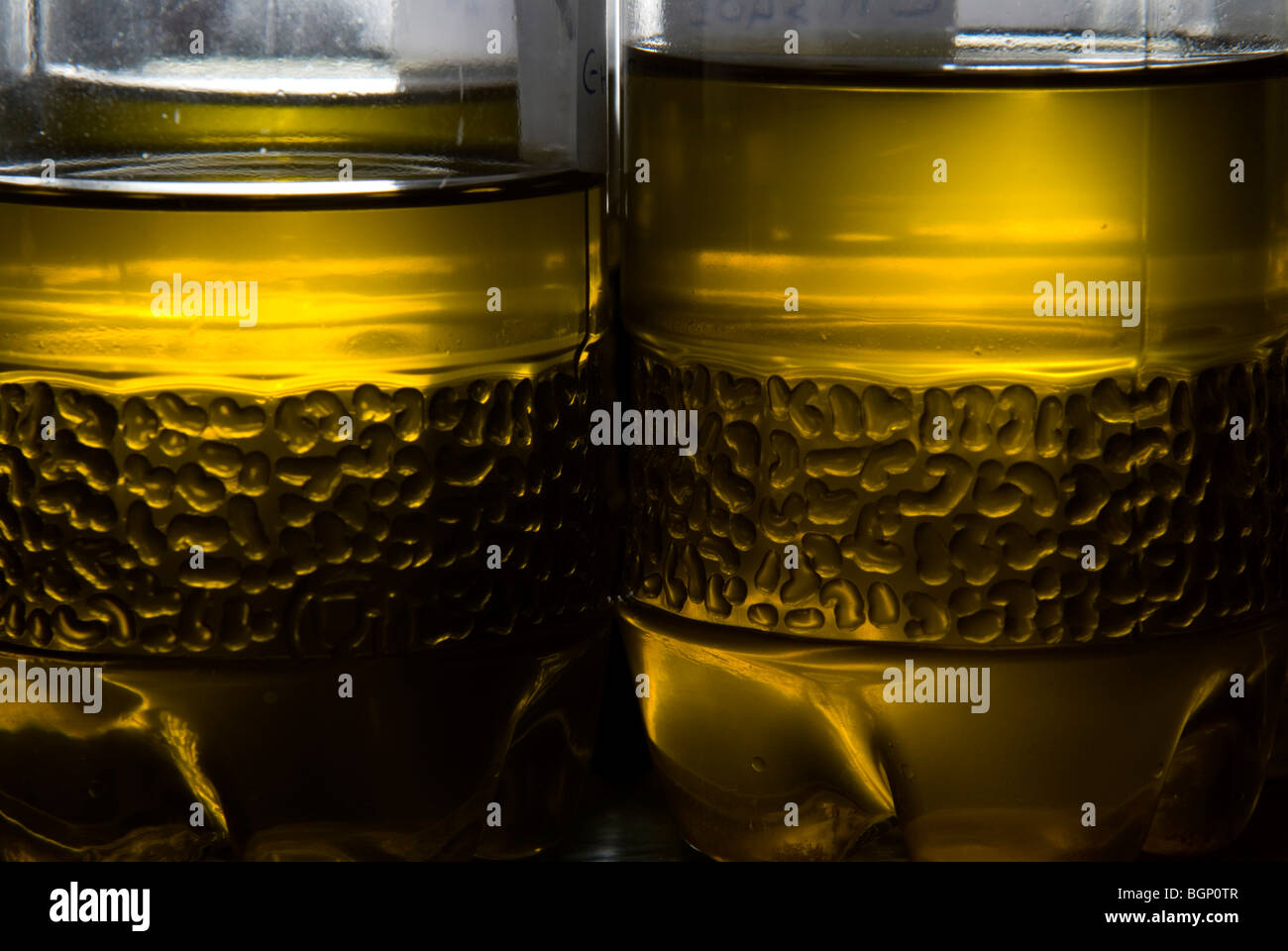 bottles of raw olive oil for testing at the plants' laboratory Stock ...