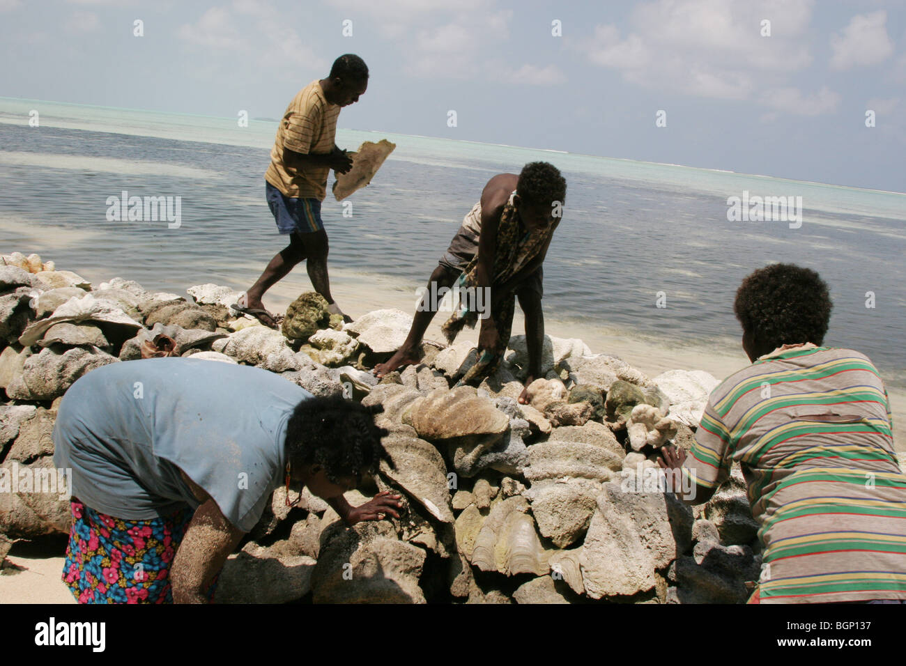 sea wall made of clam shells, to halt erosion of land by waves, on Han ...