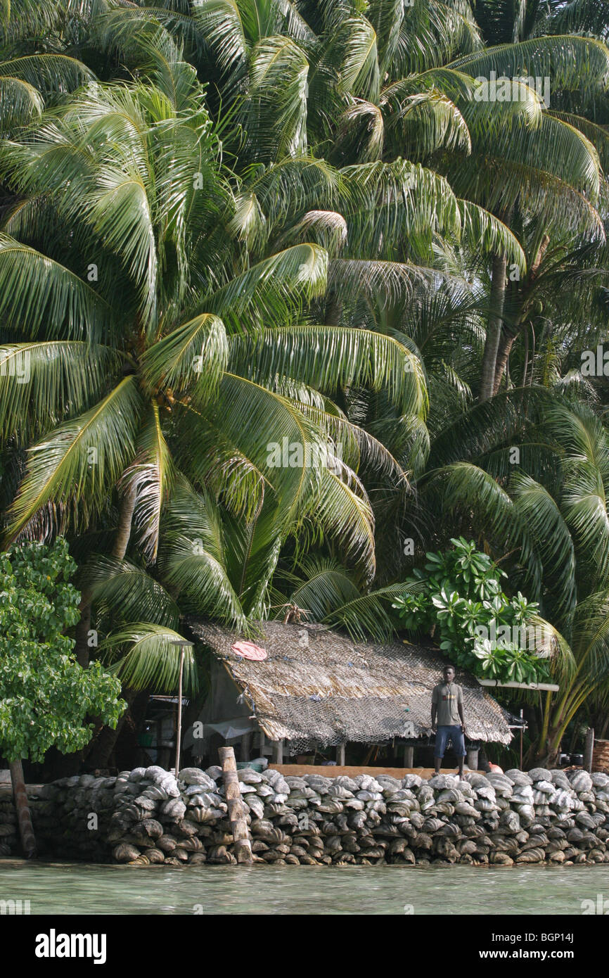 Clam shell wall to prevent sea erosion, Carteret Atoll, Papua New ...