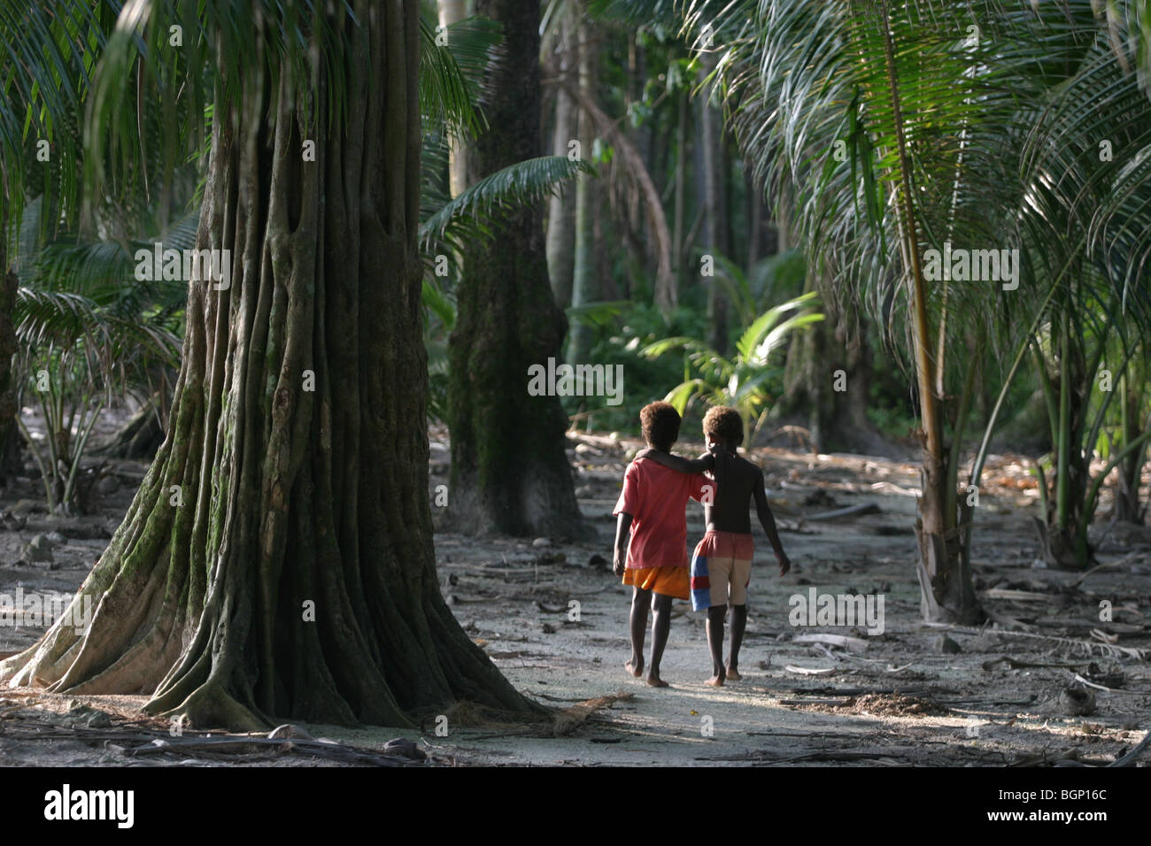 Children walk through devastated crop gardens (destroyed by salt water ...