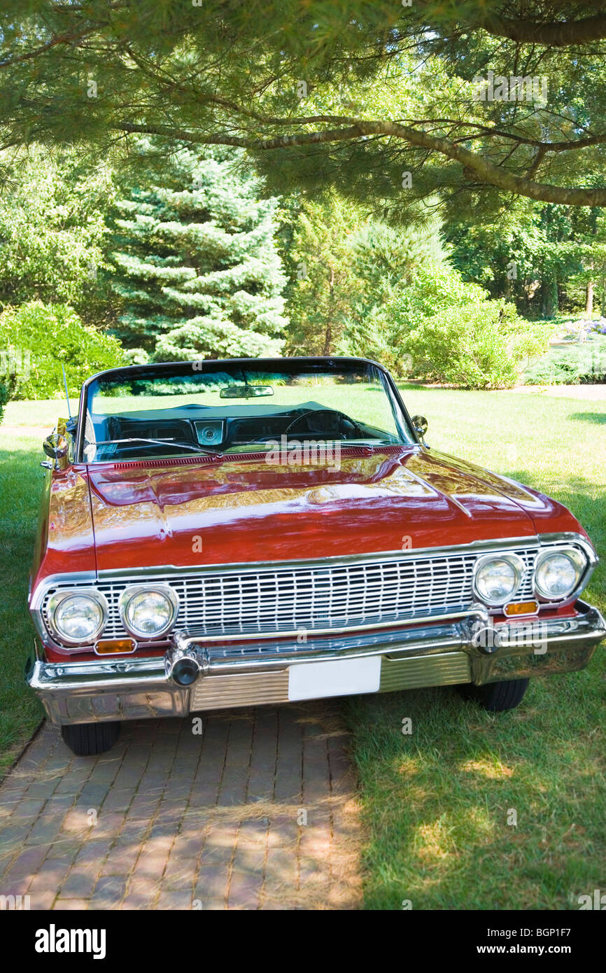 Car parked in a lawn Stock Photo - Alamy