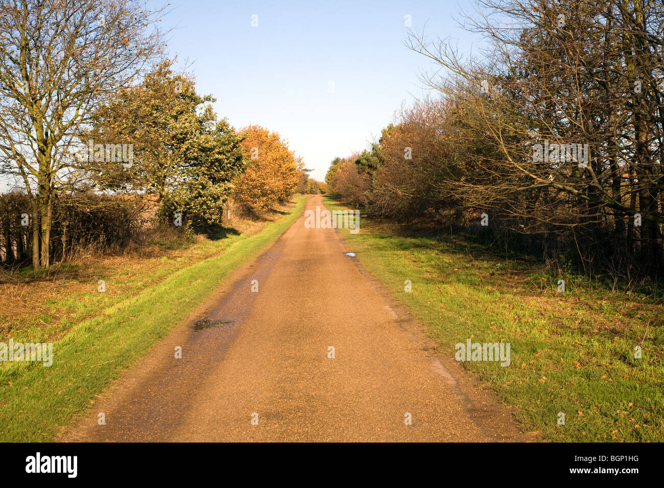Quite country lane hedgerow autumn colours Sutton Suffolk England Stock ...